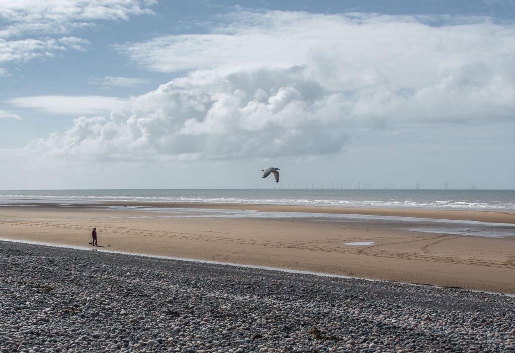 Landscape | Peter Clegg